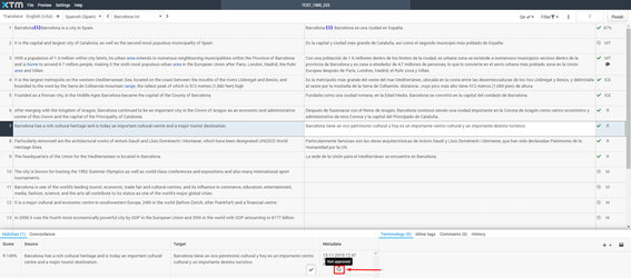 TM Status in XTM – Welocalize